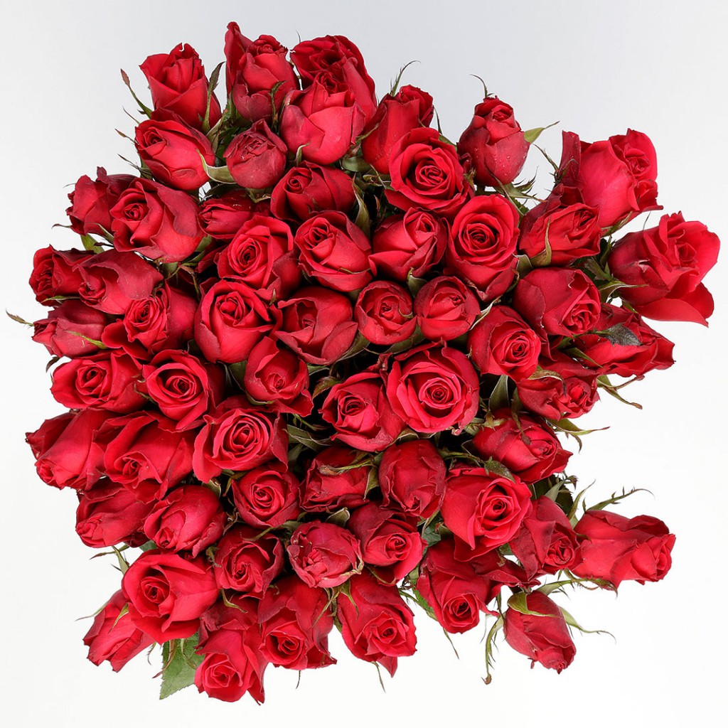 Großhandel – Rosen Ruland